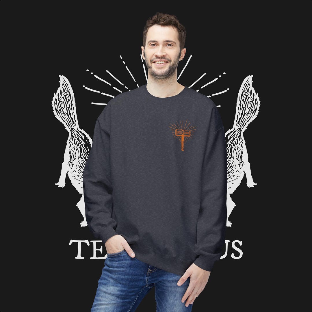 House Telemanus, Red Rising Merch, Unisex Midweight Softstyle Fleece ...