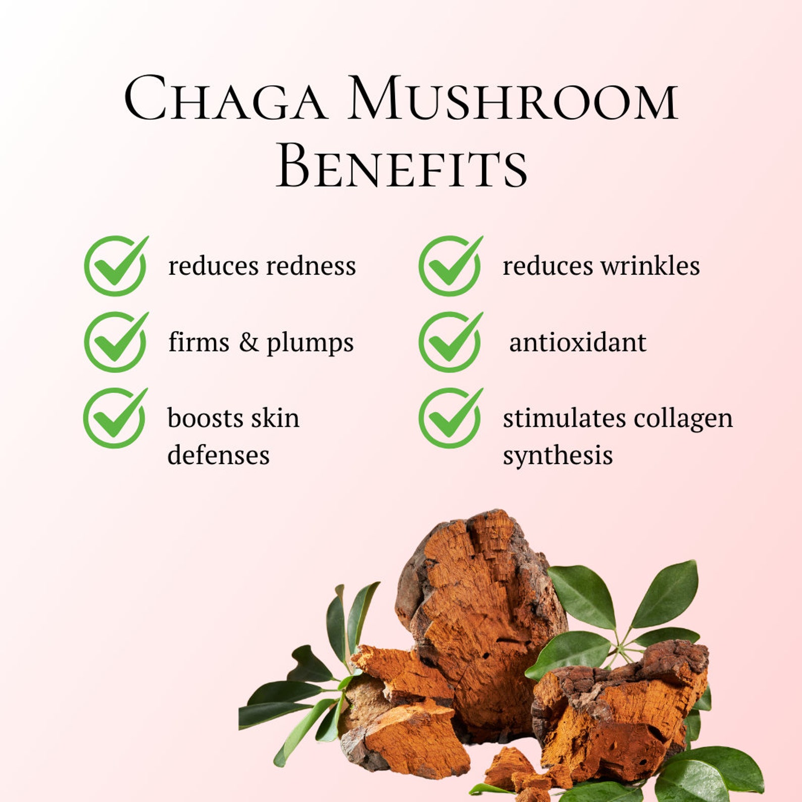Chaga Mushroom Face Cream, Skin Cell Boosting, Anti-rosacea, Anti ...
