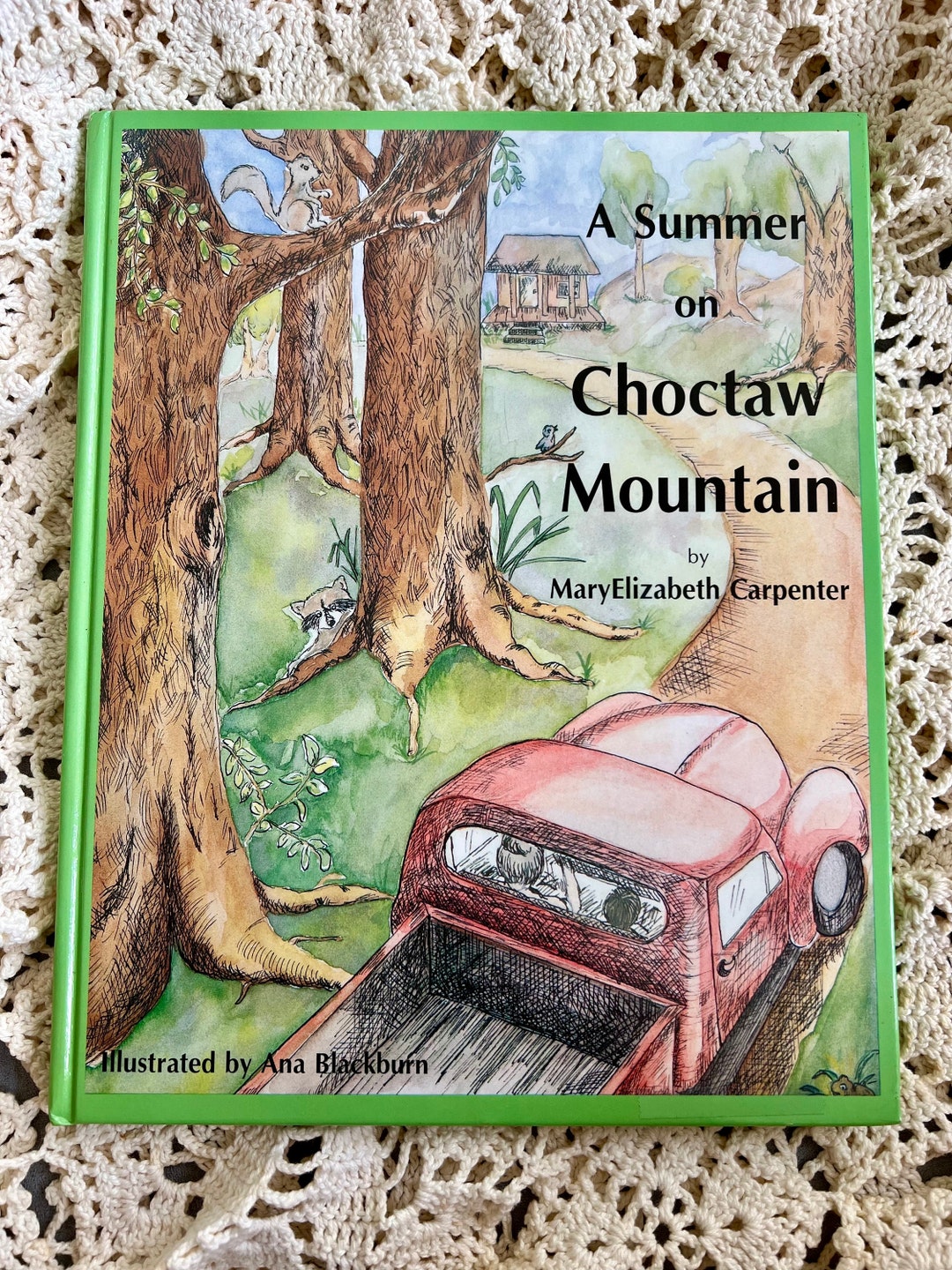A Summer on Choctaw Mountain by Maryelizabeth Carpenter 1997 - Etsy