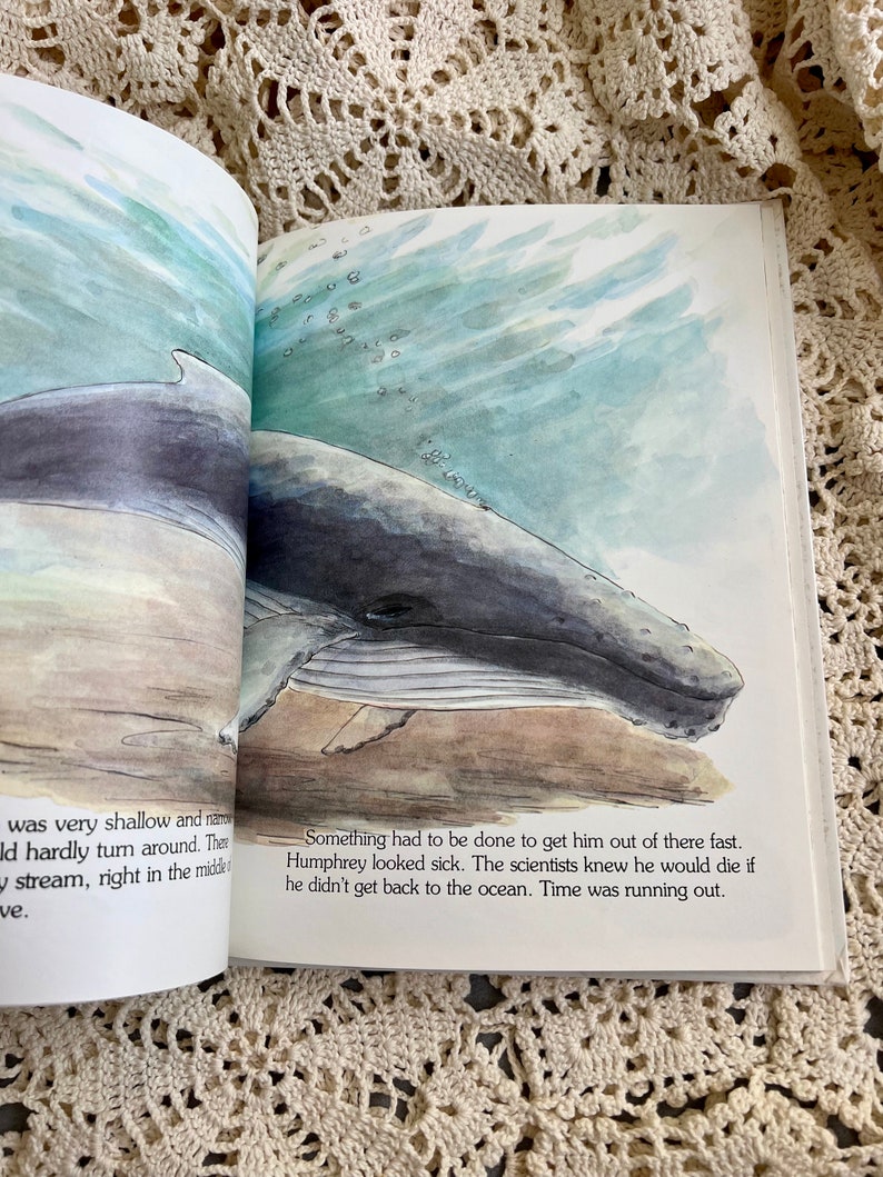 Humphrey the Lost Whale: A True Story Hardcover by Wendy Tokuda 1992 - Etsy