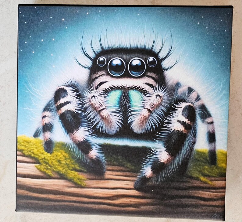 Max the Jumping Spider - Etsy