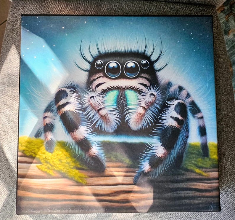 Max the Jumping Spider - Etsy