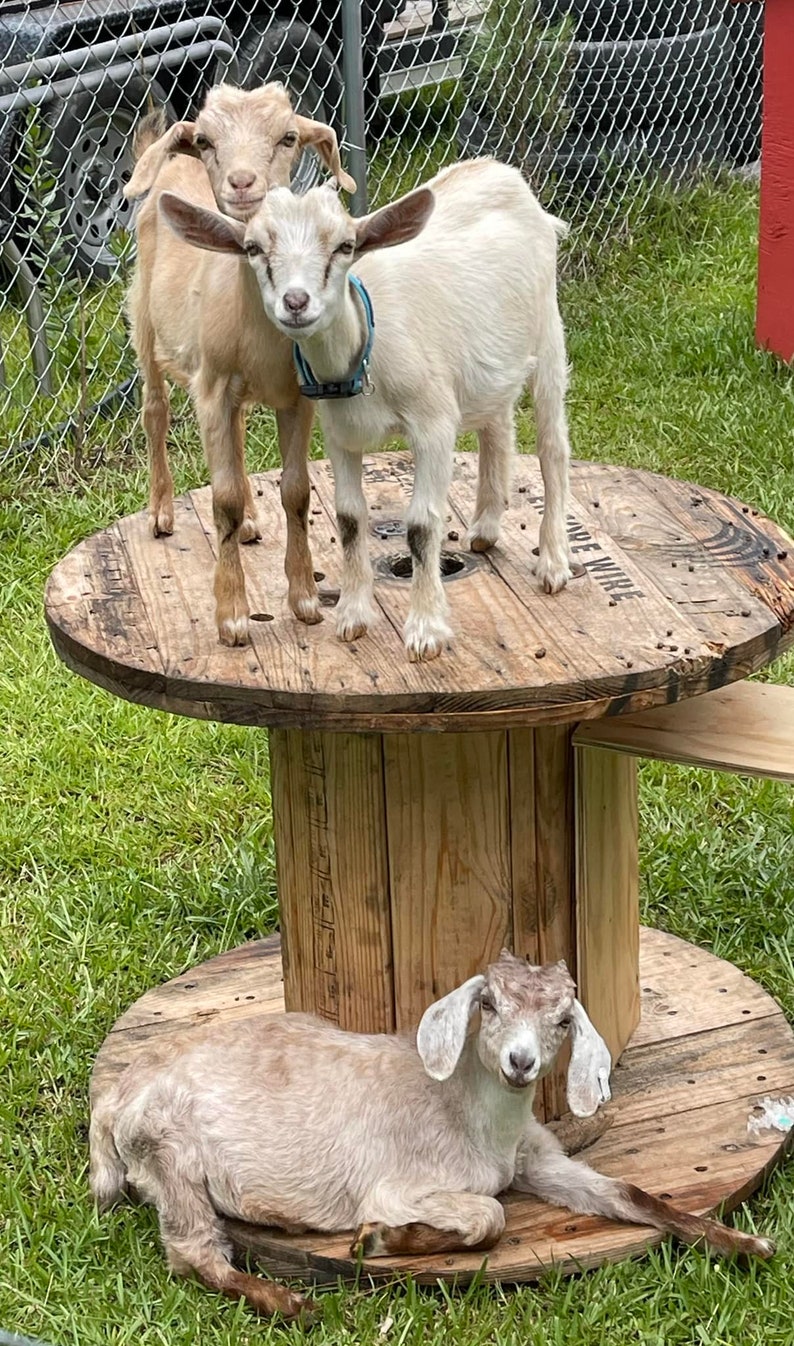 Childrens Boutique Clothing - Etsy