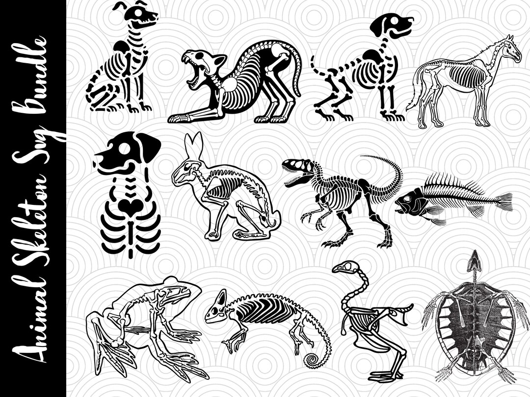 Animal Skeleton SVG Bundle, Halloween Skeleton Svgs, Dog Skeleton, Cat ...