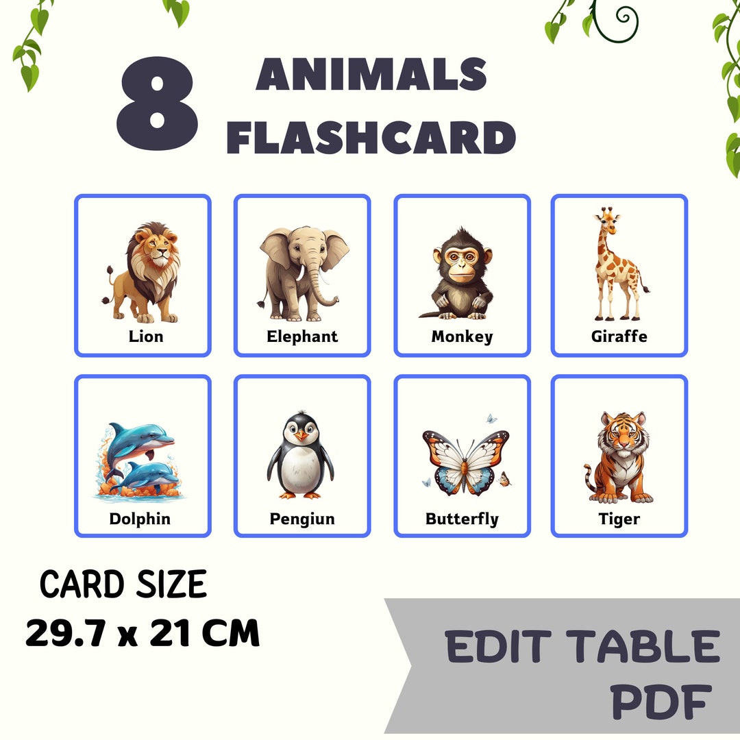 8 Animal Flash Cards for Education for Children Nomenclature Flashcard ...