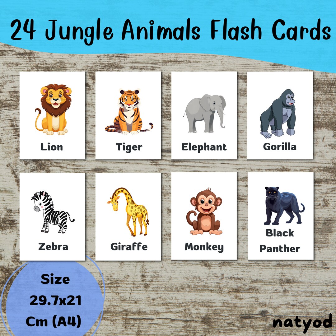 24 Jungle Animals Flash Cards Flash Cards PDF Stickers education - Etsy
