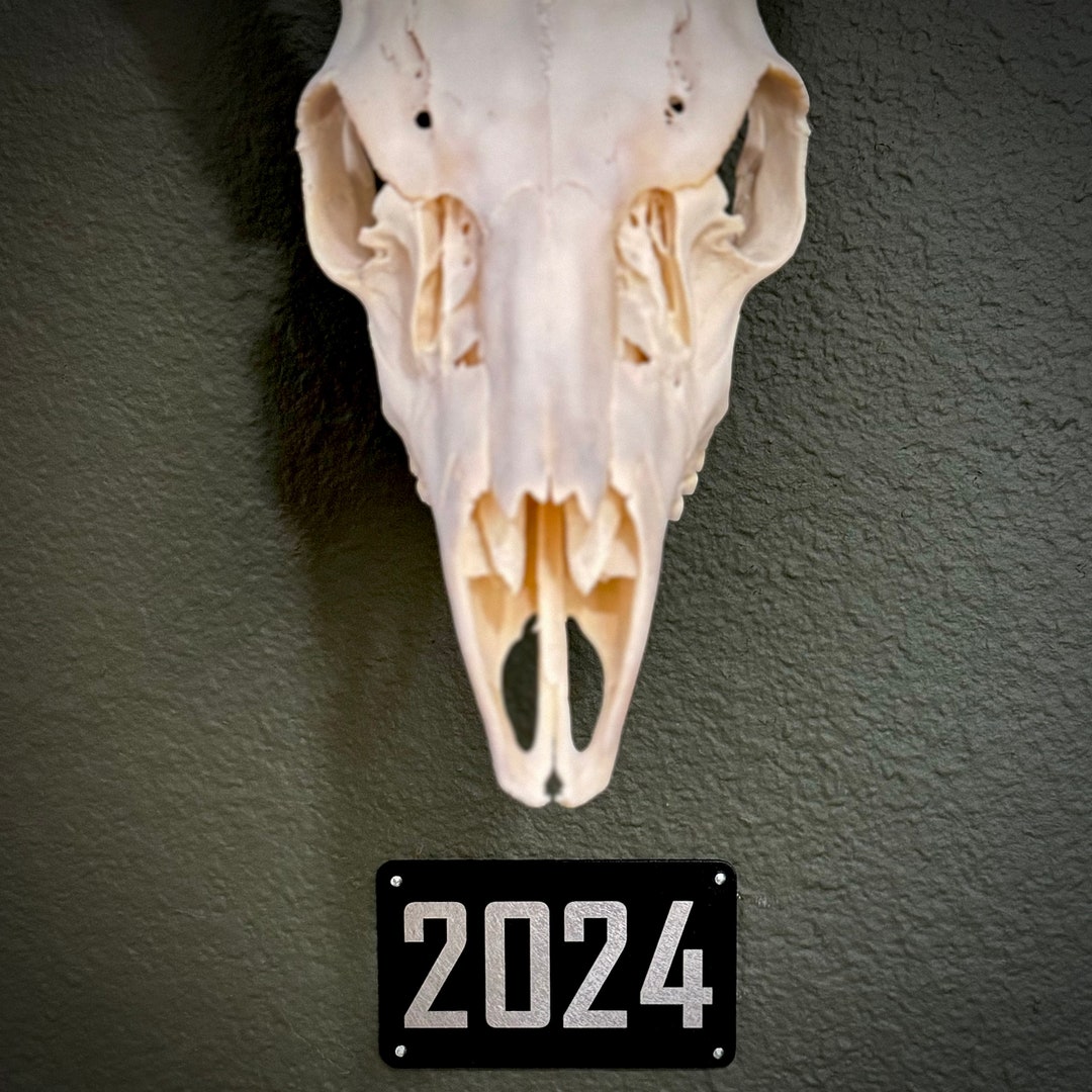 Custom European Mount Skull Hanger and Plaque. Choose Your TEXT! Euro ...