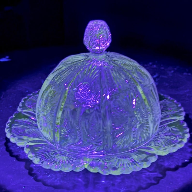 Antique Higbee Paneled Thistle Butter Dome: UV Reactive EAPG Glass - Etsy