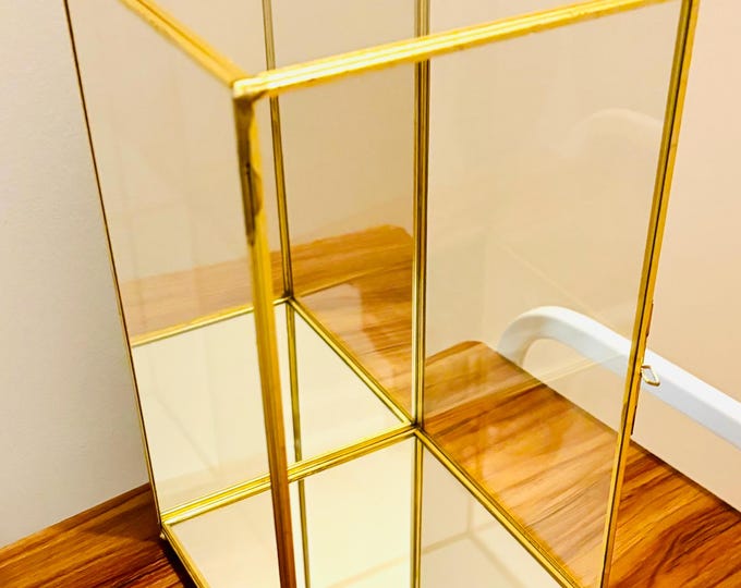 Vintage Rectangular Curio Cabinet With Brass Accents - Clear Glass ...