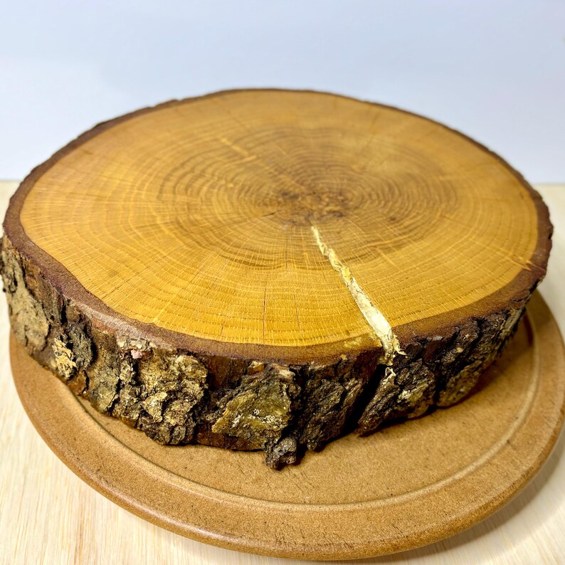 Vintage Oak Wood Slice Stand: Rustic Tree Slab With Bark Edge - Etsy