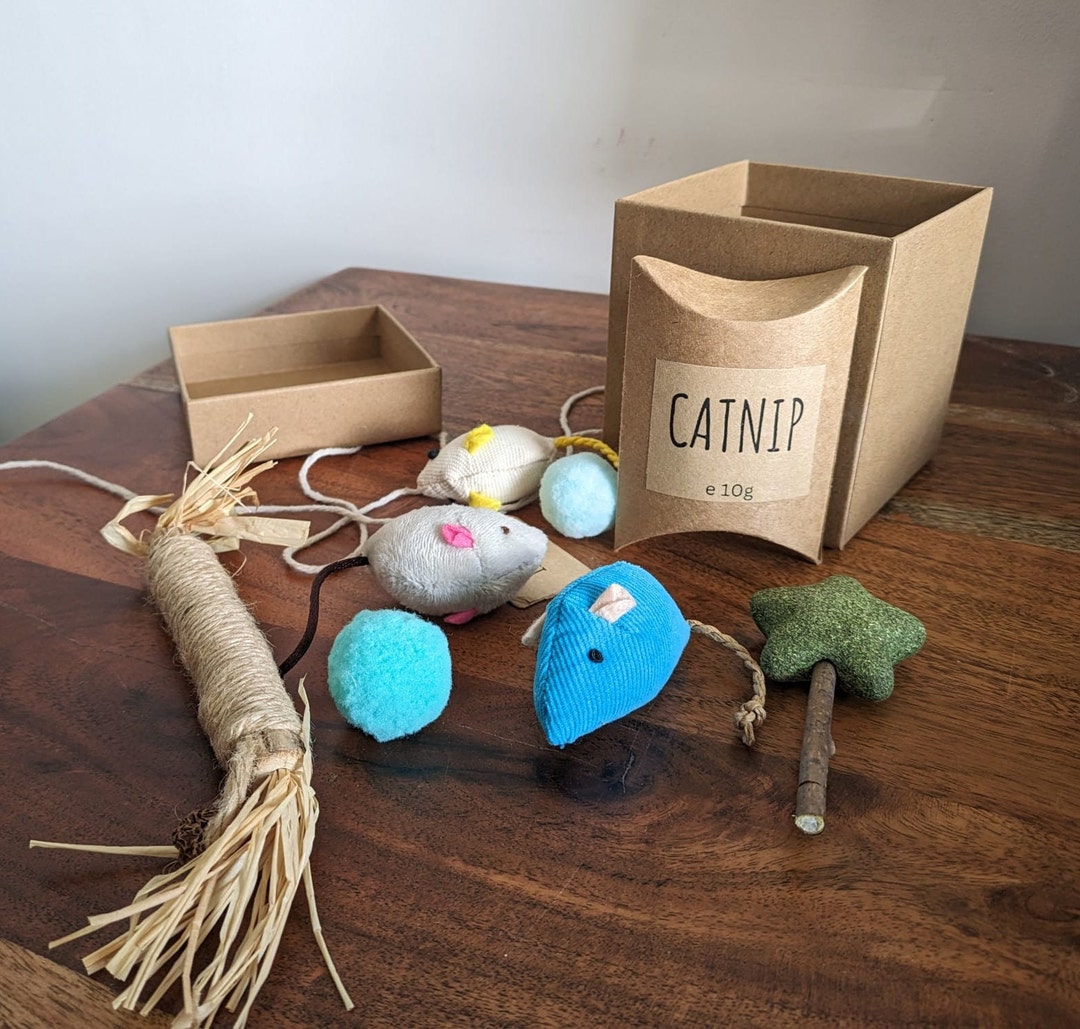 Cat Gift Box | Cat Toys | Assortment of Cat Toys | Catnip | Boredom ...