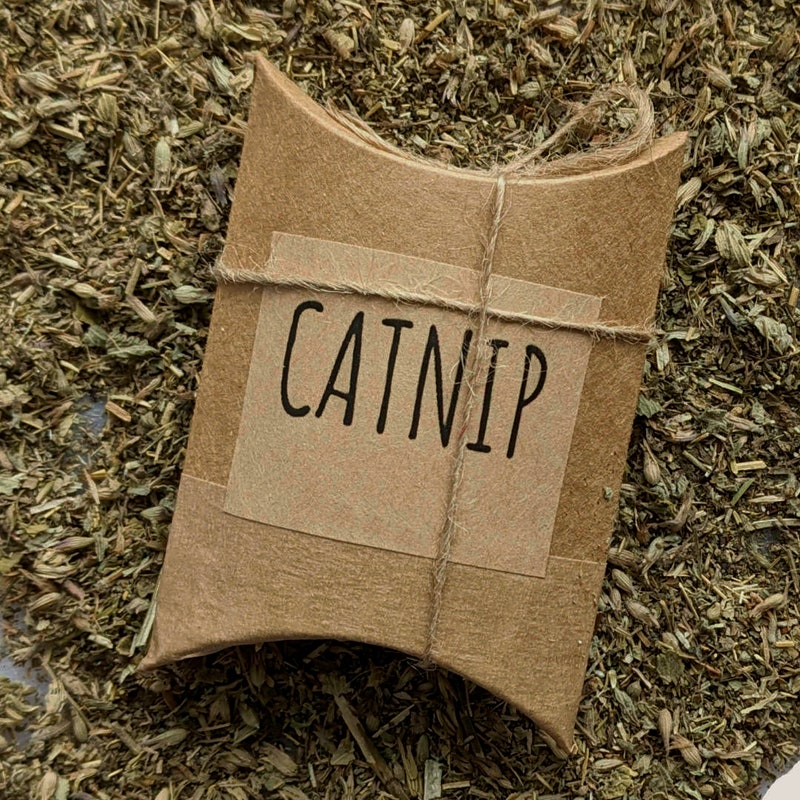 Catnip Tea - Etsy