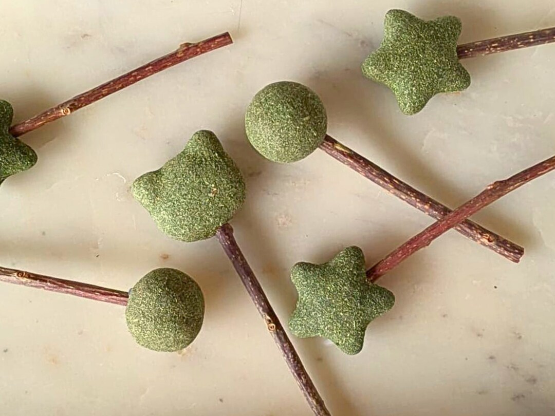 Catnip Lollipop Lollipop for Cats Cat Treats Catnip Treats Silver Vine ...