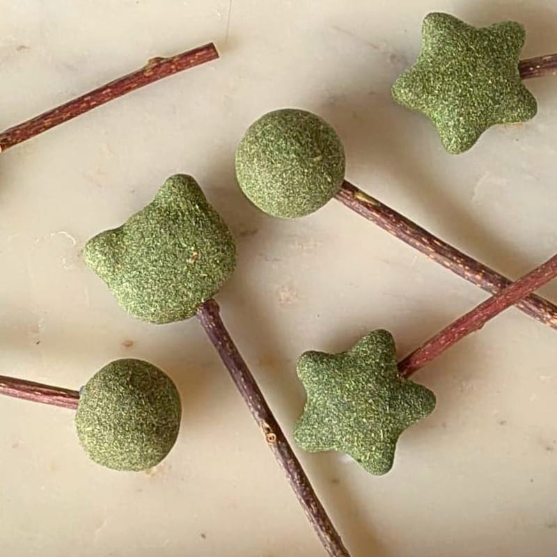 Christmas Cat Treats - Etsy