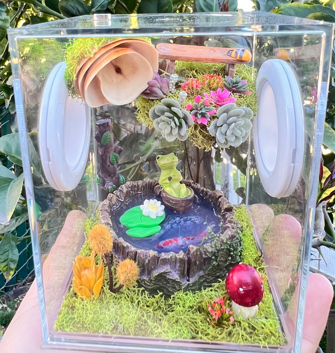 Koi Frog Pond Jumping Spider Enclosure - Etsy