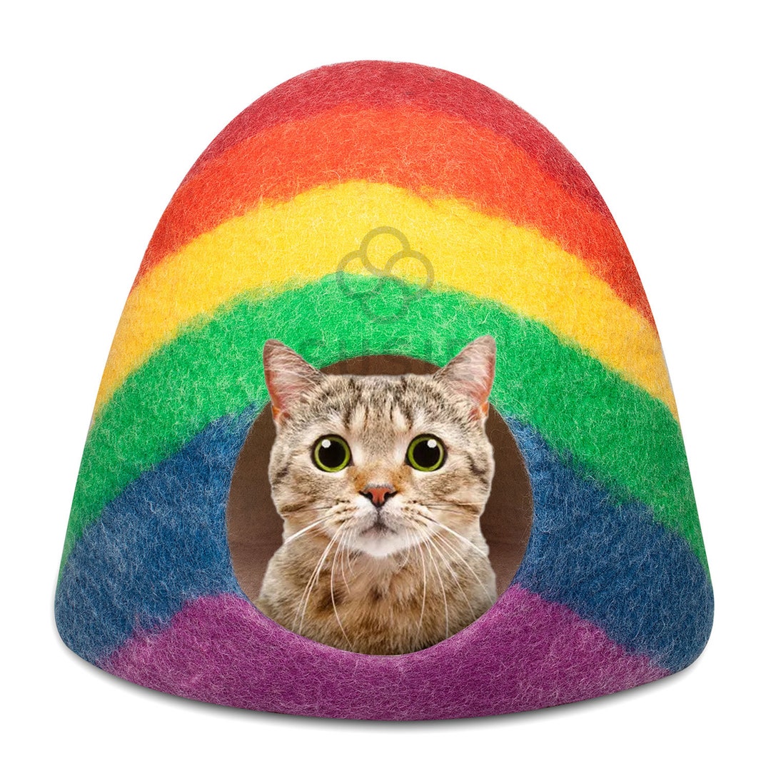 Cat Cave Bed House Rainbow Colour ~hideout ~ Handmade Felted Eco ...