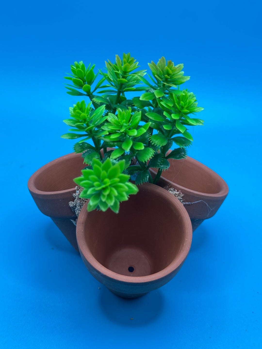 Mini Fab Forager Terracotta Foraging Pots for Hermit Crabs - Etsy