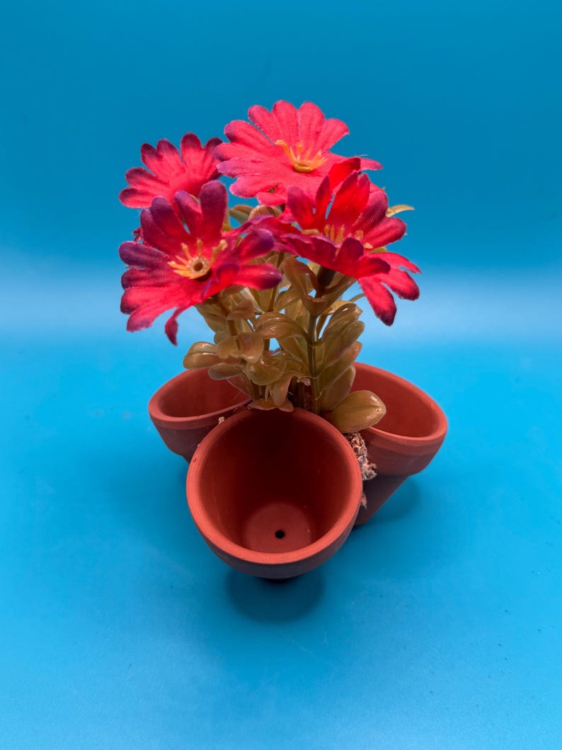 Mini Fab Forager Terracotta Foraging Pots for Hermit Crabs - Etsy