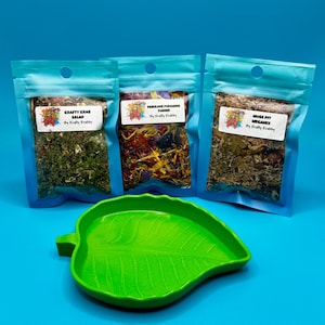 Foragers Feast Bundle - Hermit Crab Foraging Mix Sampler With Dish - Etsy