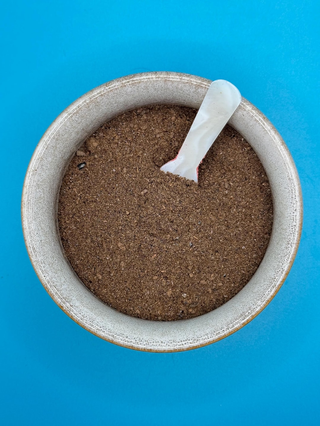 Bat Guano – Nature’s Perfect Nutrient for Hermit Crabs - Etsy