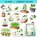 Watercolor Sprout to Life Clipart, Plant Growth Process Illustrations ...