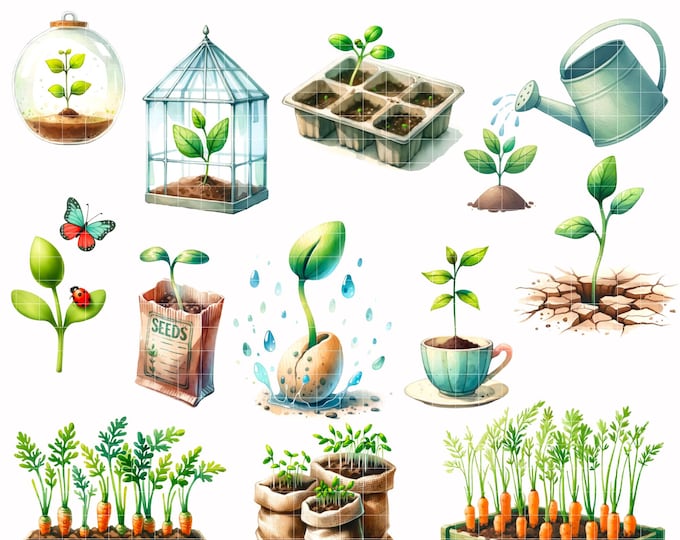 Watercolor Sprout to Life Clipart, Plant Growth Process Illustrations ...