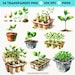 Watercolor Sprout to Life Clipart, Plant Growth Process Illustrations ...