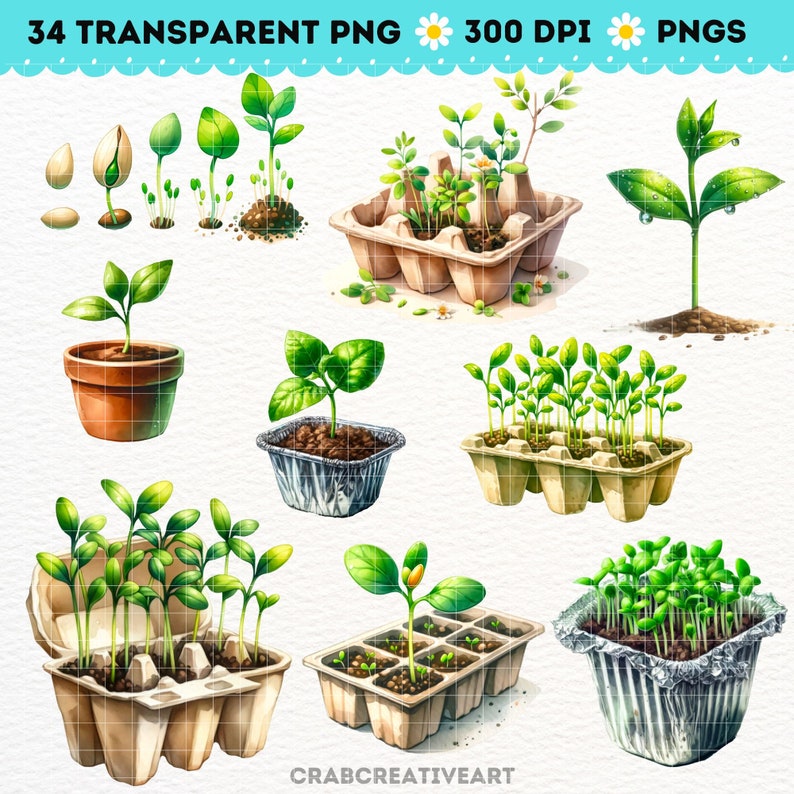Watercolor Sprout to Life Clipart, Plant Growth Process Illustrations ...
