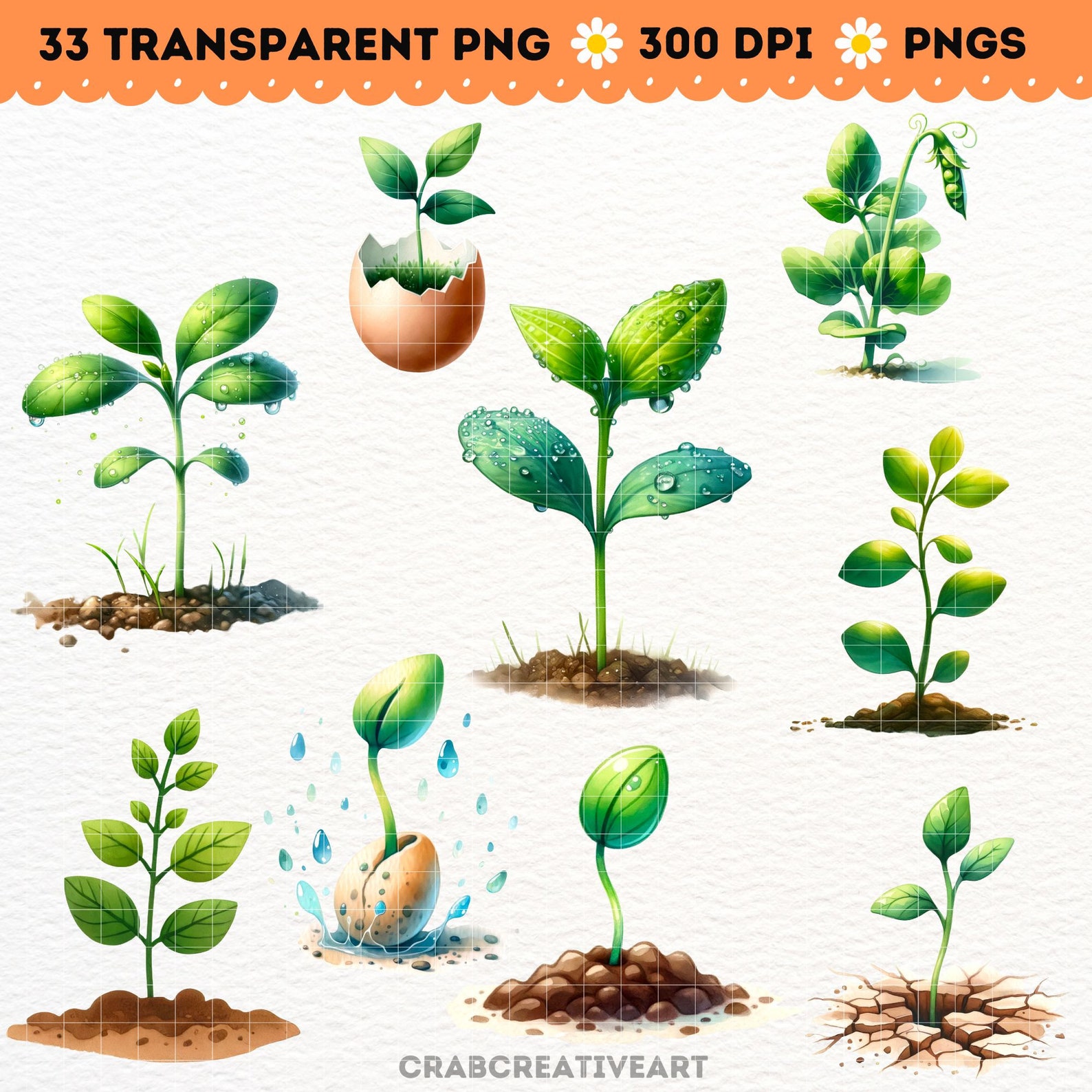 Watercolor Sprout & Grow Clipart - Potted Seedlings Clipart - Seedlings ...