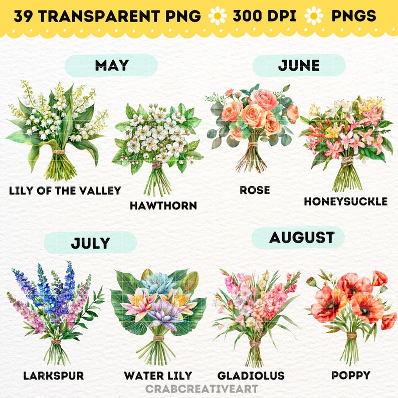 Birth Month Flower Clipart, Watercolor Birth Month Flower, Watercolor ...