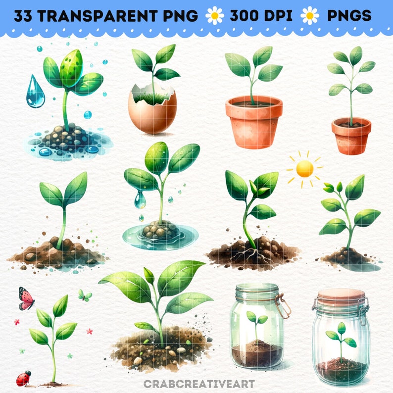 Watercolor Plant Sprouts Clipart, Plant Growth Process Illustrations ...