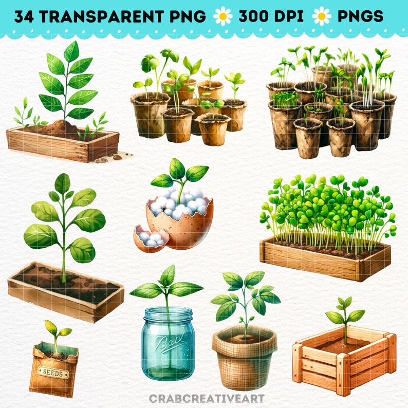 Watercolor Sprout to Life Clipart, Plant Growth Process Illustrations ...