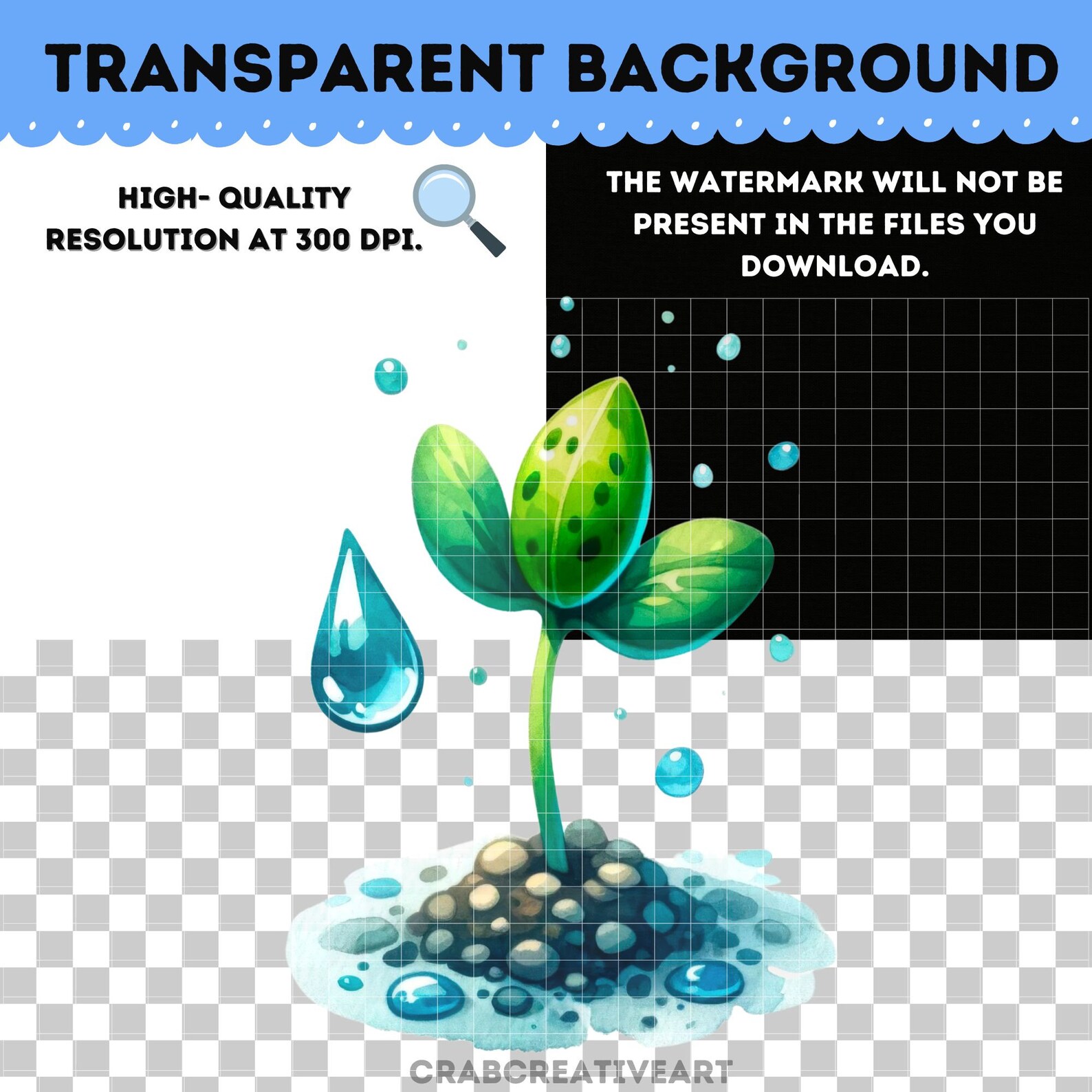 Watercolor Plant Sprouts Clipart, Plant Growth Process Illustrations ...