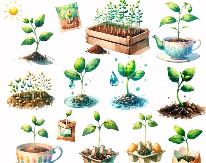 Watercolor Sprout to Life Clipart, Plant Growth Process Illustrations ...