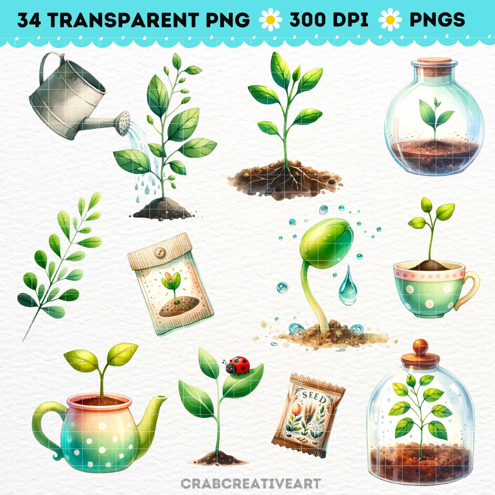 Watercolor Sprout to Life Clipart, Plant Growth Process Illustrations ...