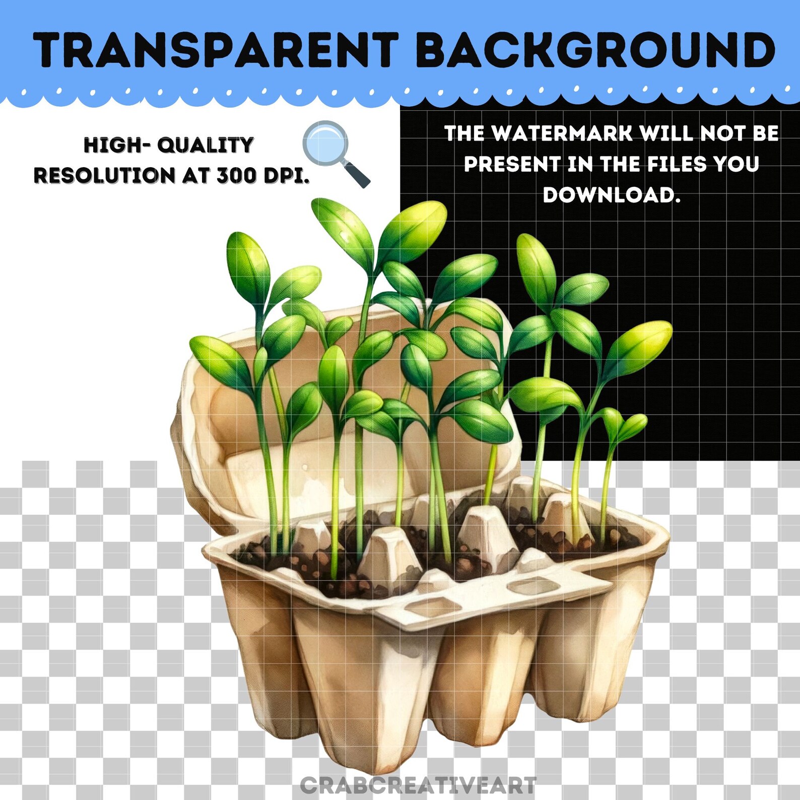 Watercolor Sprout to Life Clipart, Plant Growth Process Illustrations ...