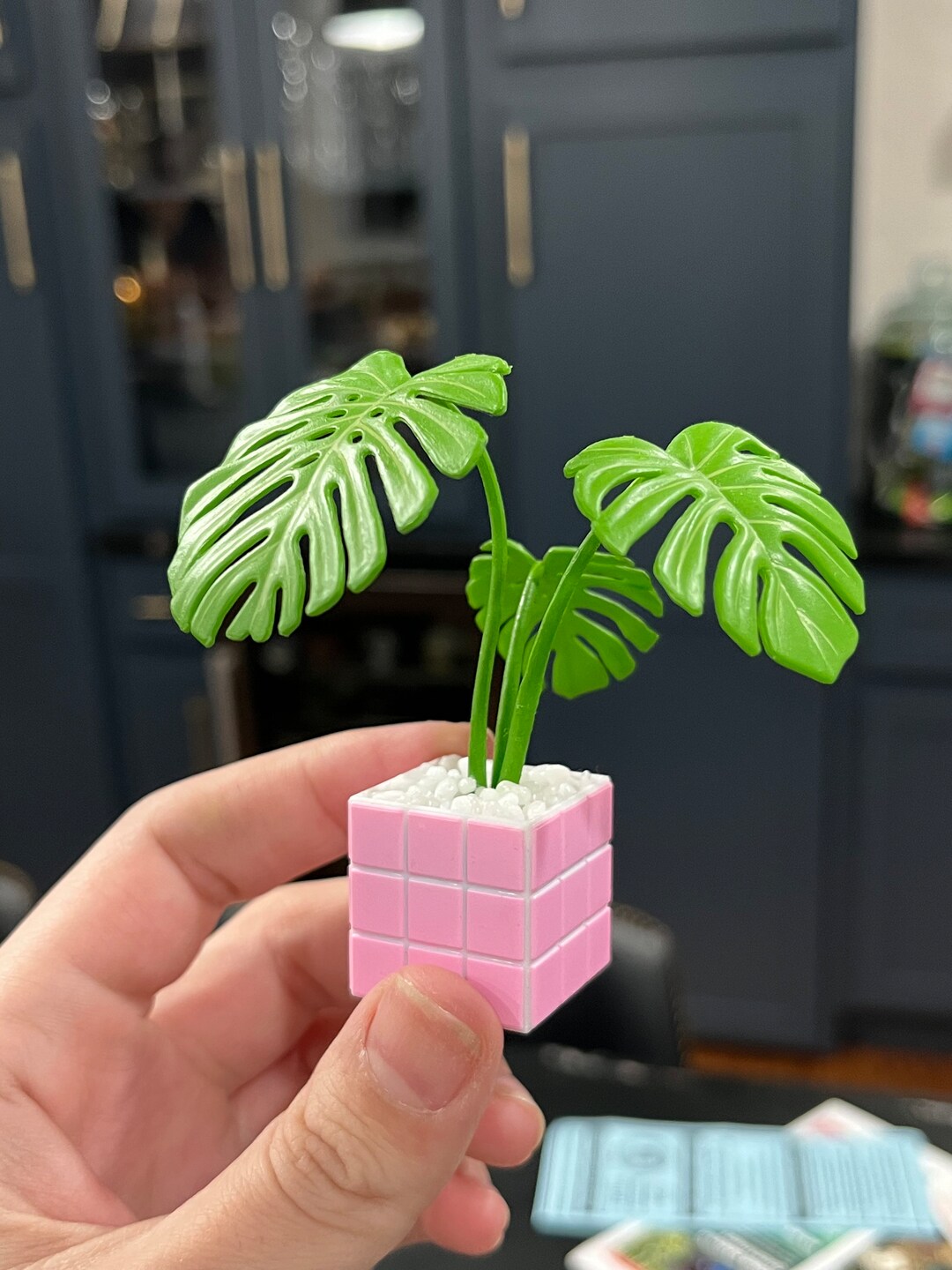 Miniature Monstera Plant Doll Size Tiny Food Small Miniverse Lifestyle ...