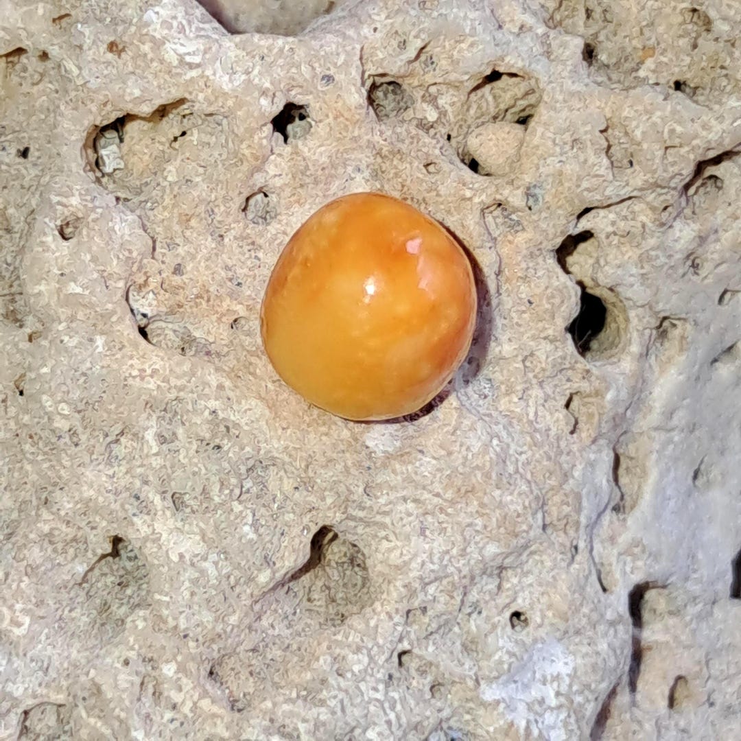 The Rarest Pearl in the World, Natural Melo Melo Pearl, a Rare Gift for ...
