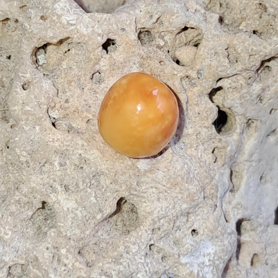 The Rarest Pearl in the World, Natural Melo Melo Pearl, a Rare Gift for ...