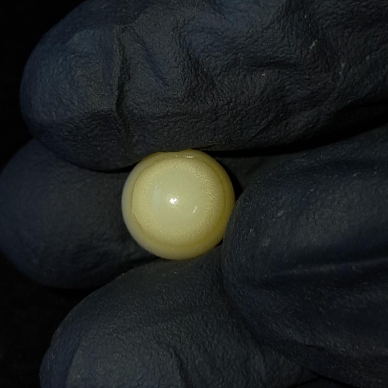 Unique Bi-color 7.35 Ct Tridacna Gigas Pearl: Natural Near Drop Clam ...