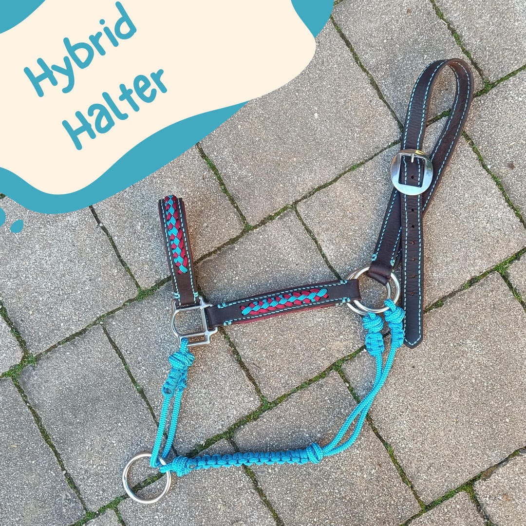 Hybrid Leather Halter for Horses With Unique Paracord Lacing With Anti ...