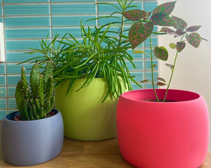 Vibrant Pot for Houseplants, Smooth Curve Design, Indoor Plant Pot ...