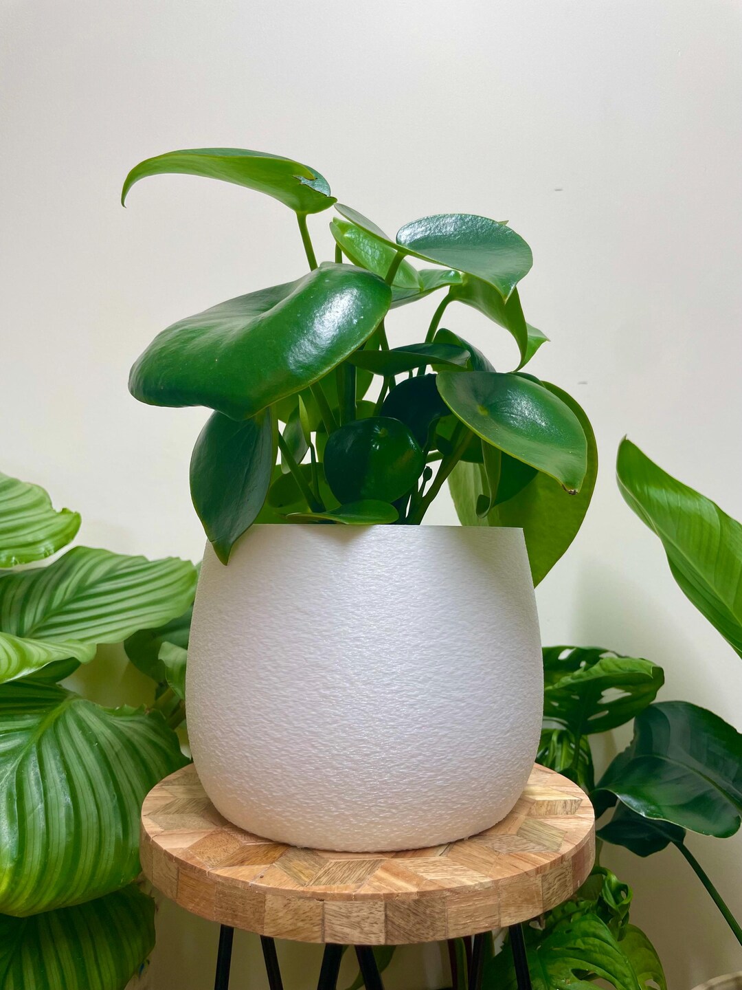 Textured Pot for Houseplants, Spring Home Decor, Living Room Decor ...