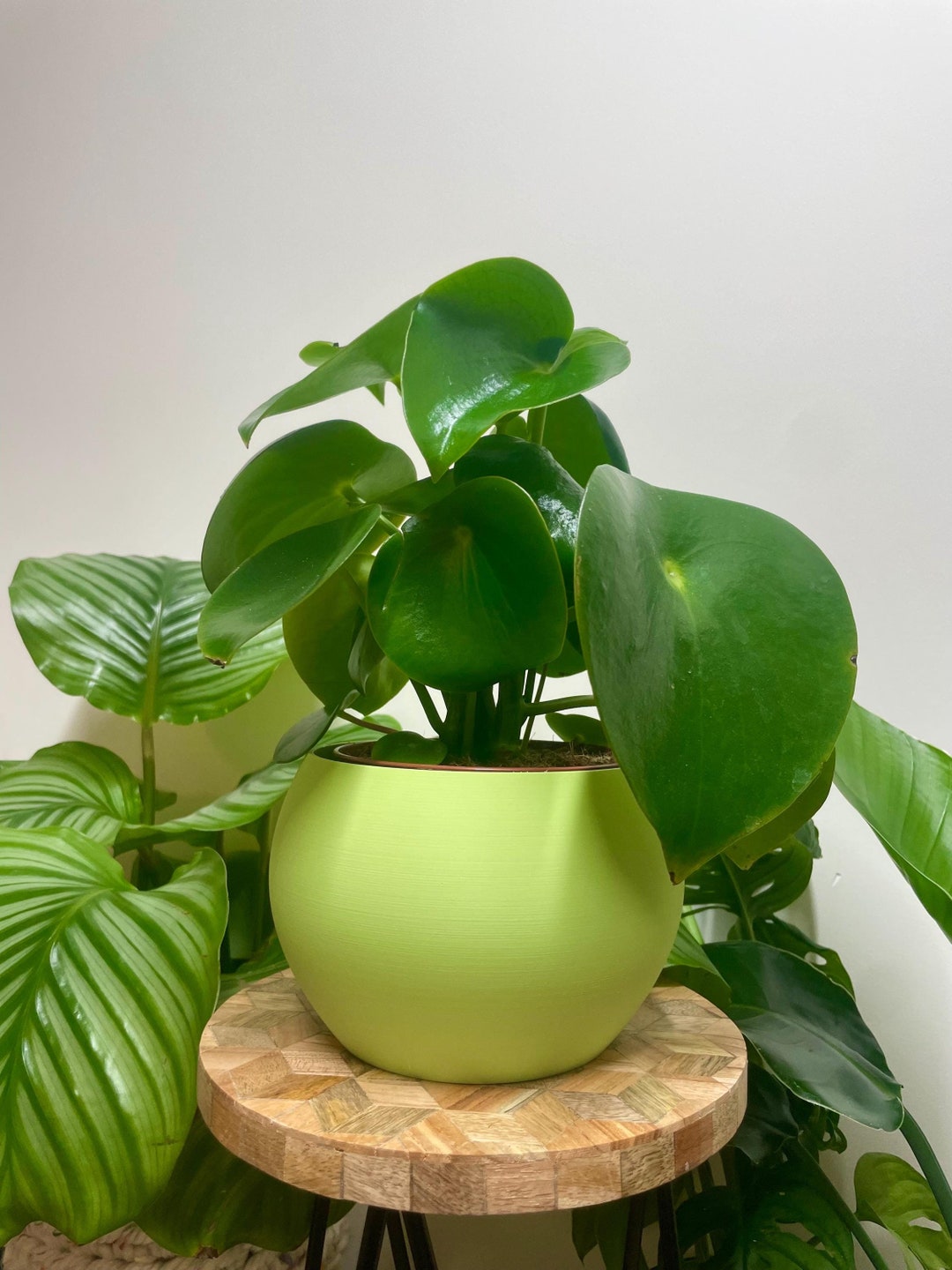 Spherical Plant Pot, Modern Home Decor Gift, Housewarming Gift, Plant ...