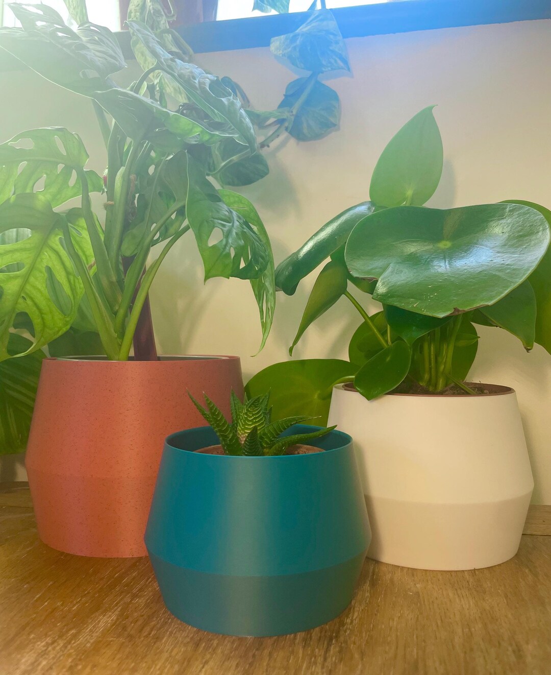 Indoor Plant Pot, 3D Printed Angled Design, Gift for Plant Lovers ...