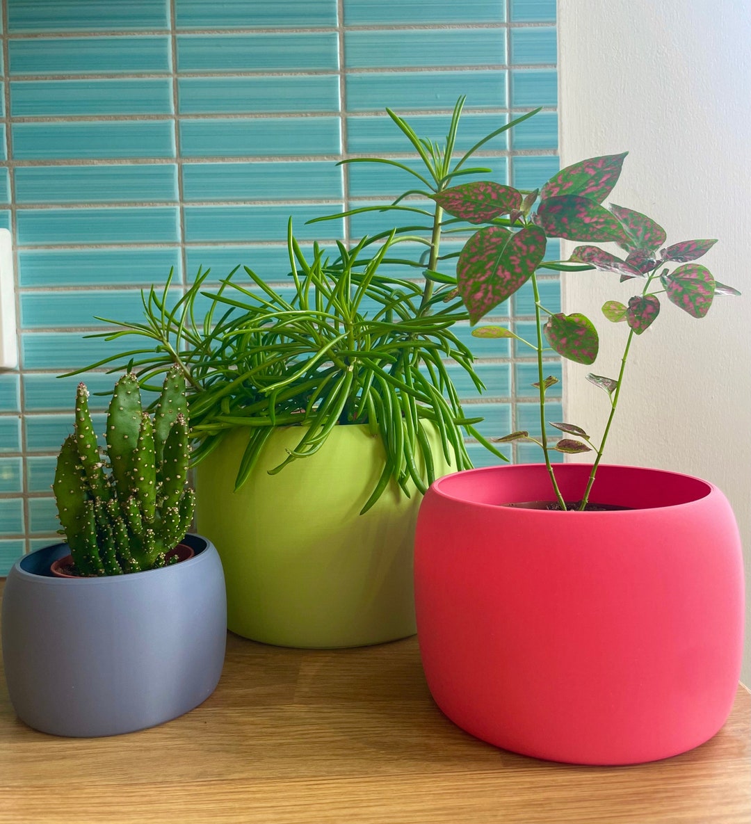 Vibrant Pot for Houseplants, Smooth Curve Design, Indoor Plant Pot ...