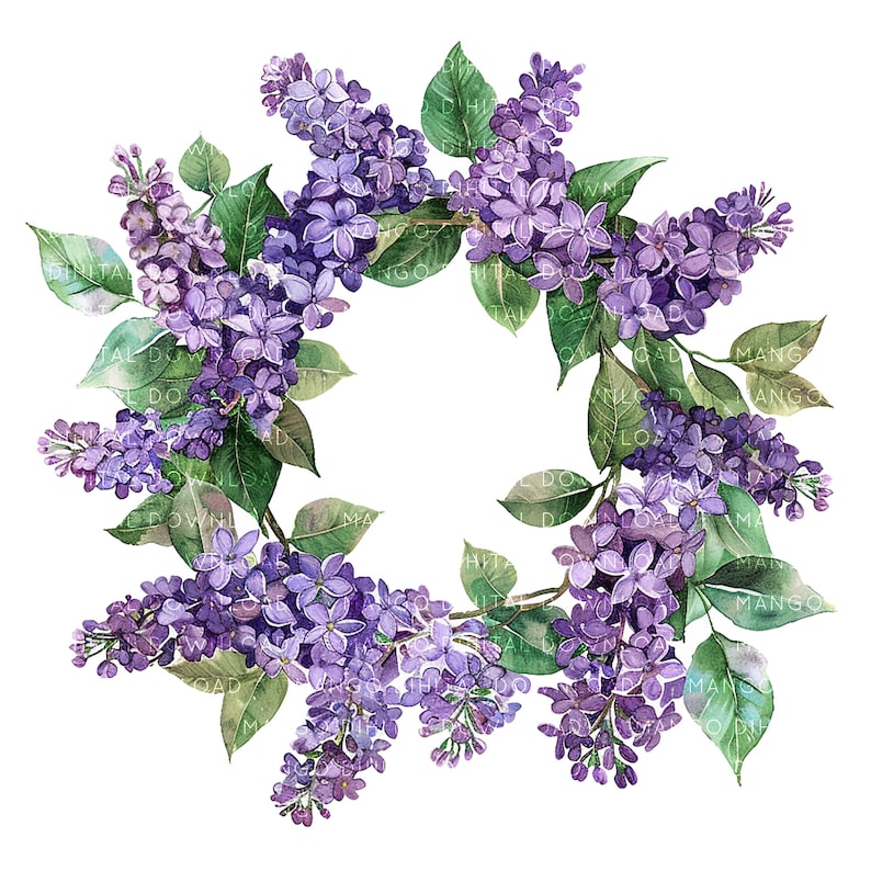 Watercolor Lilac Clip Art 12 PNG/JPG White and Purple Lilac Clipart ...