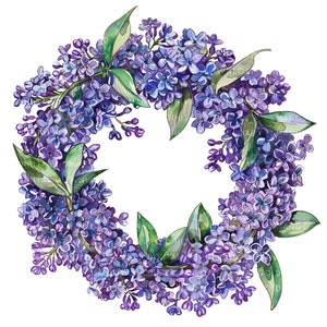 Watercolor Lilac Clip Art 12 PNG/JPG White and Purple Lilac Clipart ...