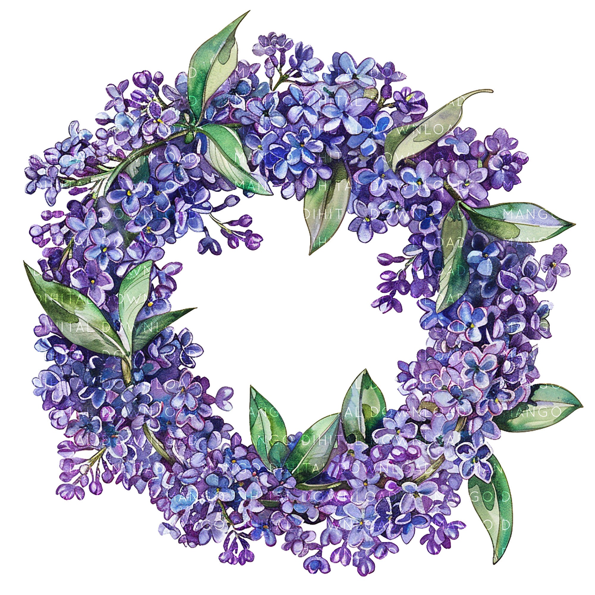 Watercolor Lilac Clip Art 12 PNG/JPG White and Purple Lilac Clipart ...