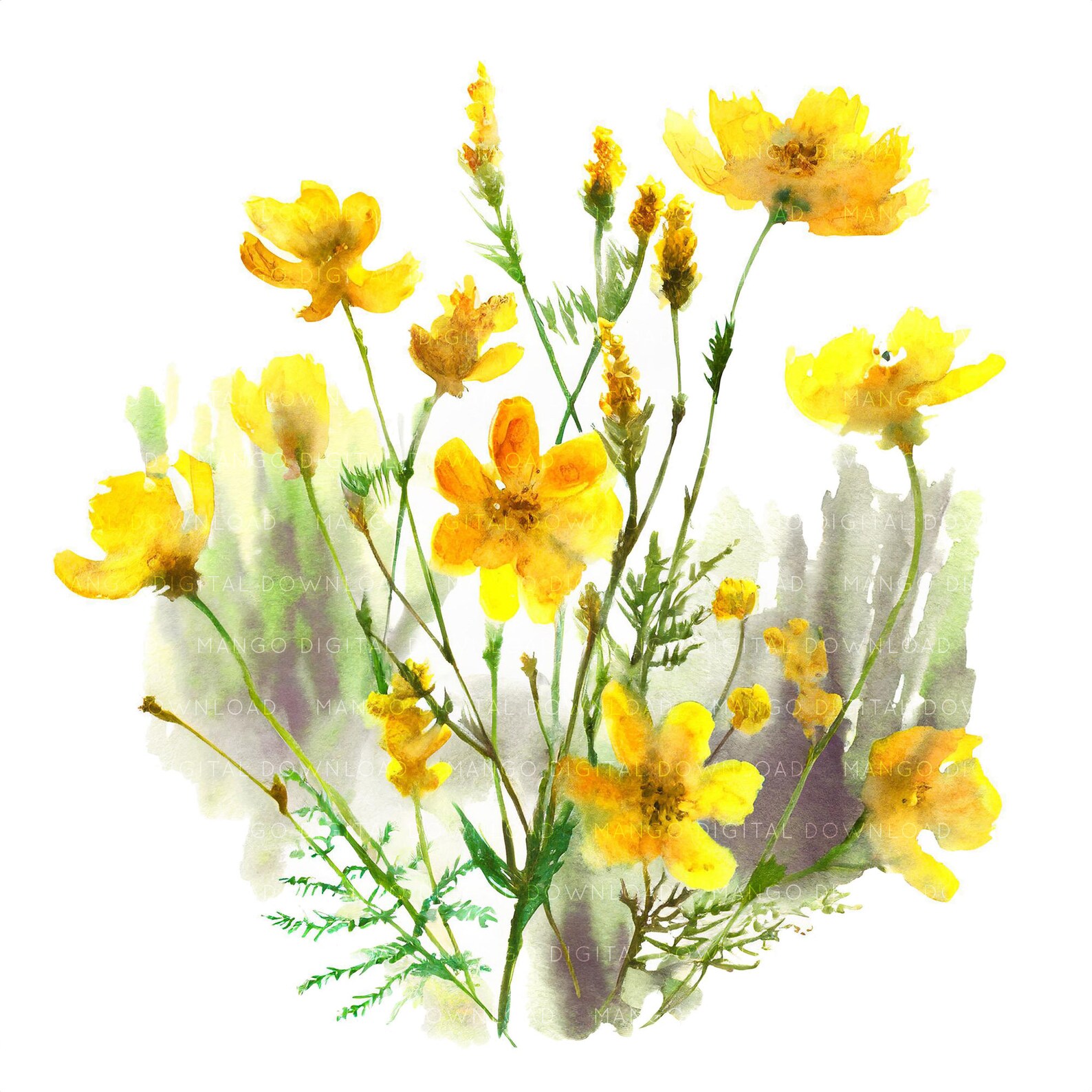 12 PNG/JPG Wildflowers Clipart Bundle Floral Clipart Spring Decor ...